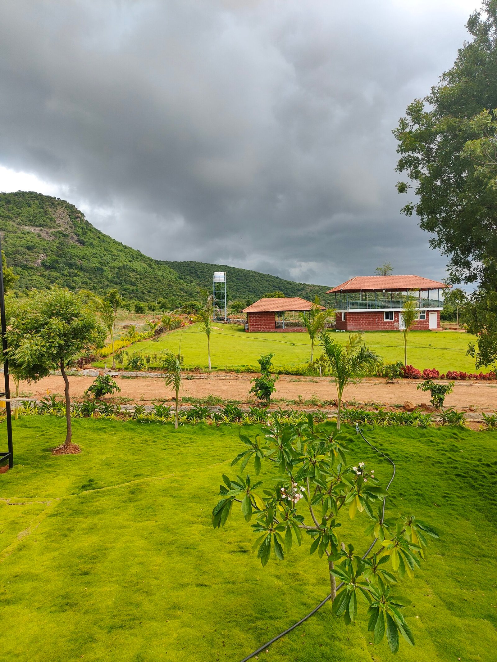 Organic Farming - Experience Nature with Bhoomi Farms